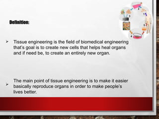 Development tissueengineering | PPT