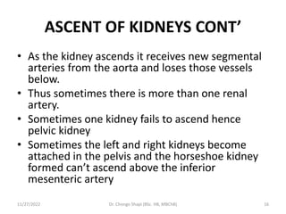 Development Urinary system by Shapi. MD.pdf