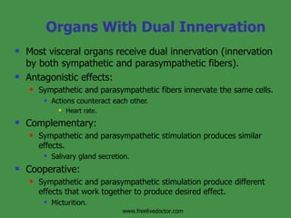 Development& Various Parts Of Peripheral Nervous System | PPT