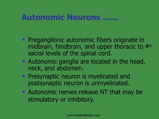 Development& Various Parts Of Peripheral Nervous System | PPT