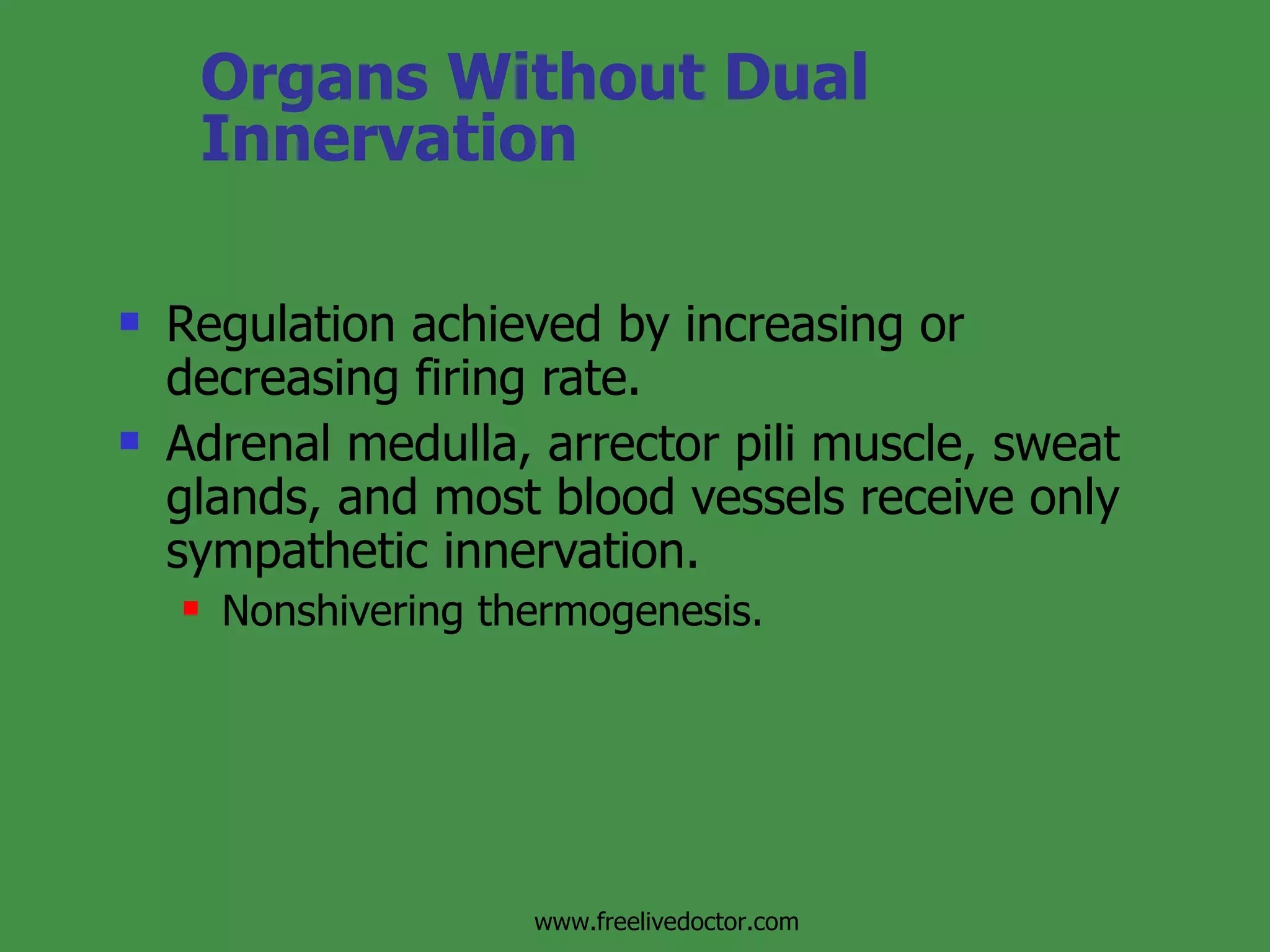Development& Various Parts Of Peripheral Nervous System | PPT