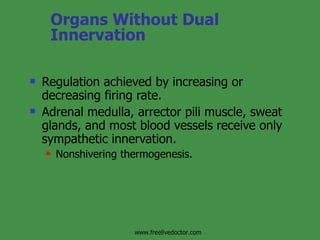Development& Various Parts Of Peripheral Nervous System | PPT