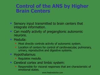 Development& Various Parts Of Peripheral Nervous System | PPT