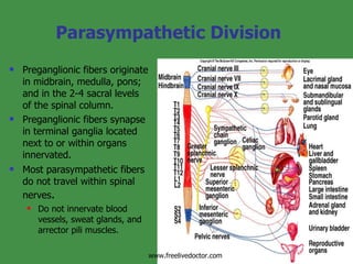 Development& Various Parts Of Peripheral Nervous System | PPT