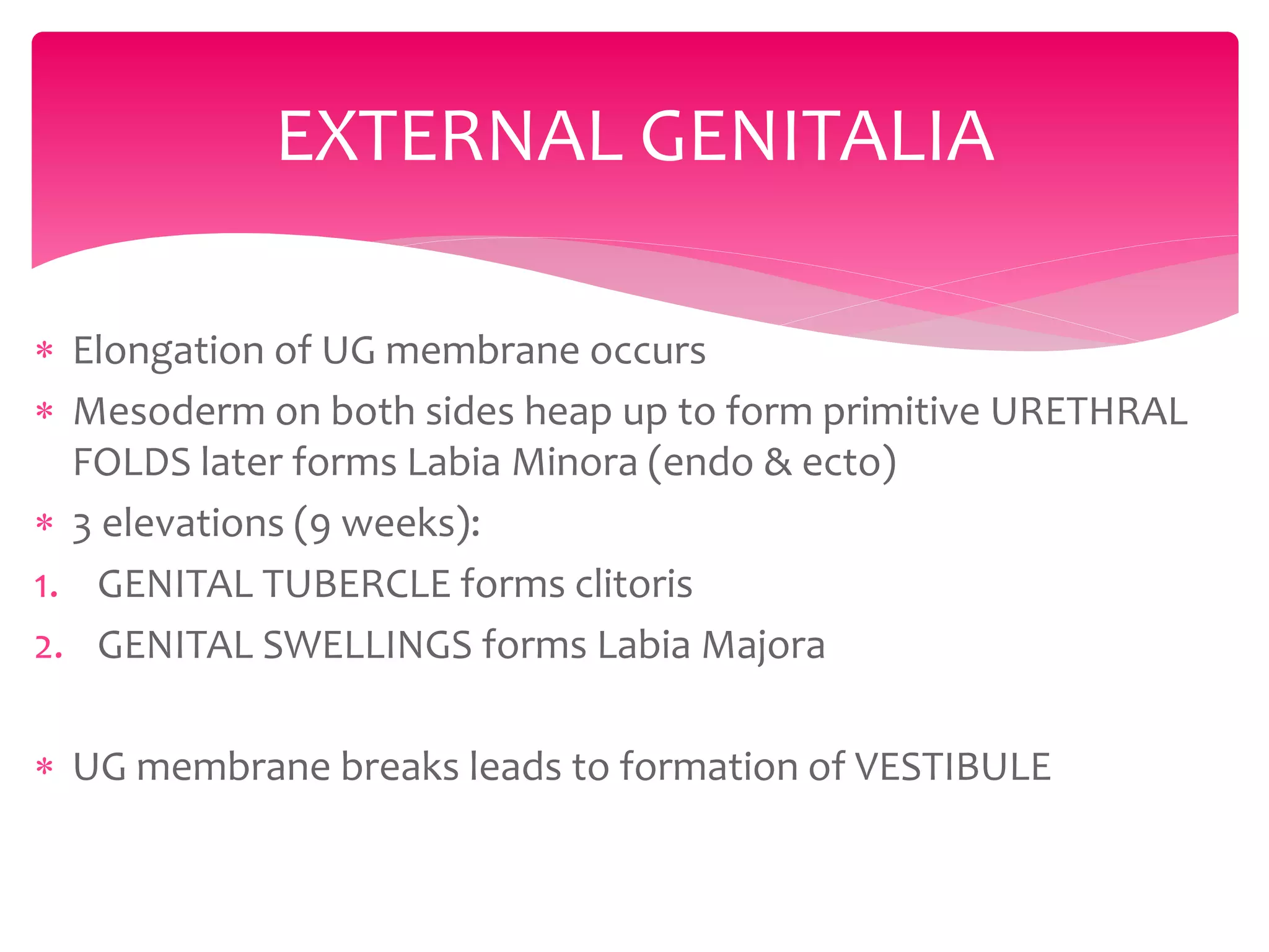 Development of external & internal genitalia by Dr.Preksha | PPTX