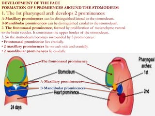 Developm of head and neck prof hosam 1440 copy | PPT