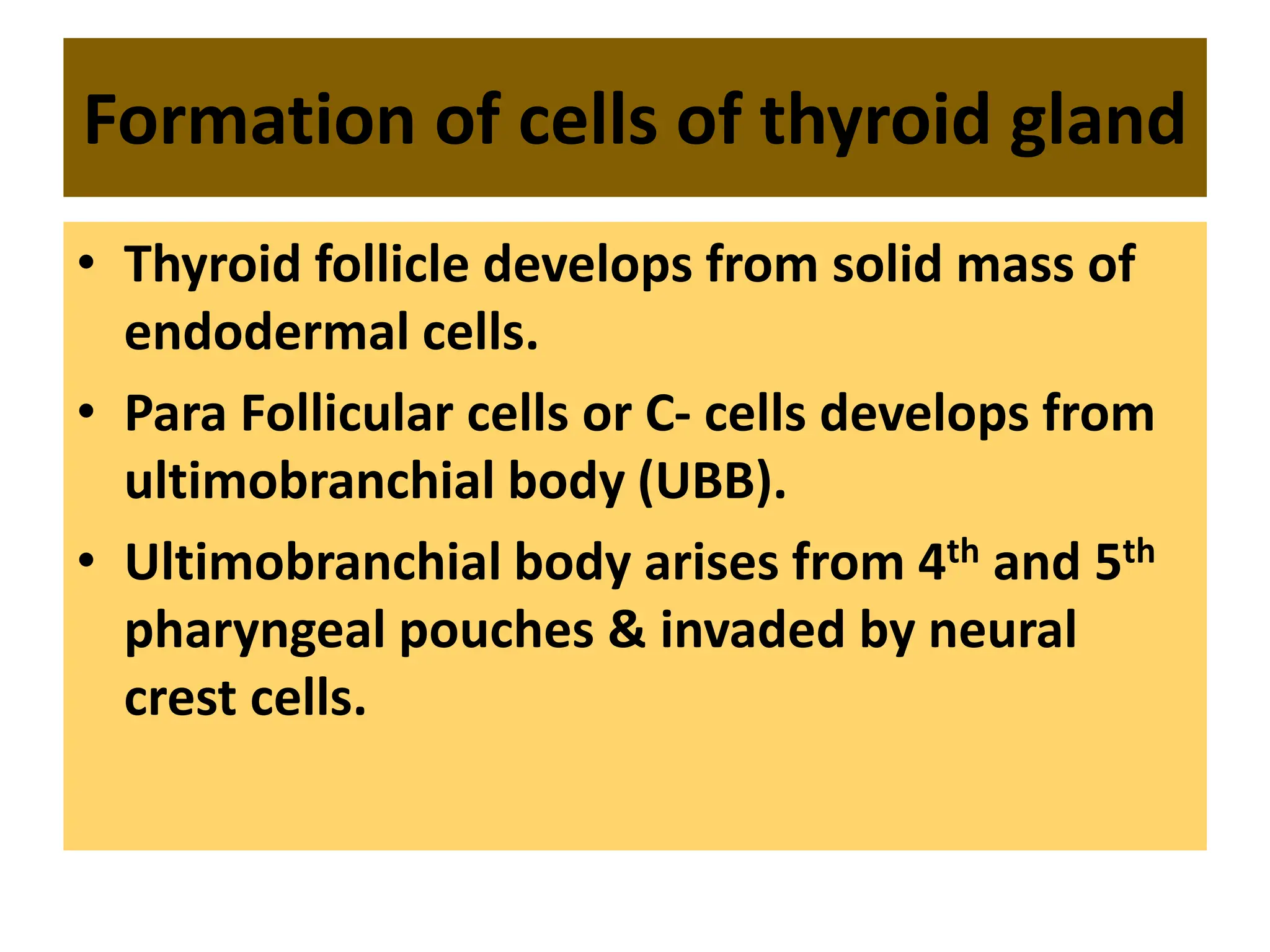 development of thyroid gland.pptx anatomy | PPTX