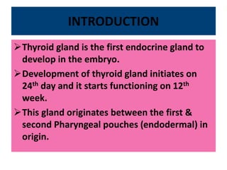 development of thyroid gland.pptx anatomy | PPT