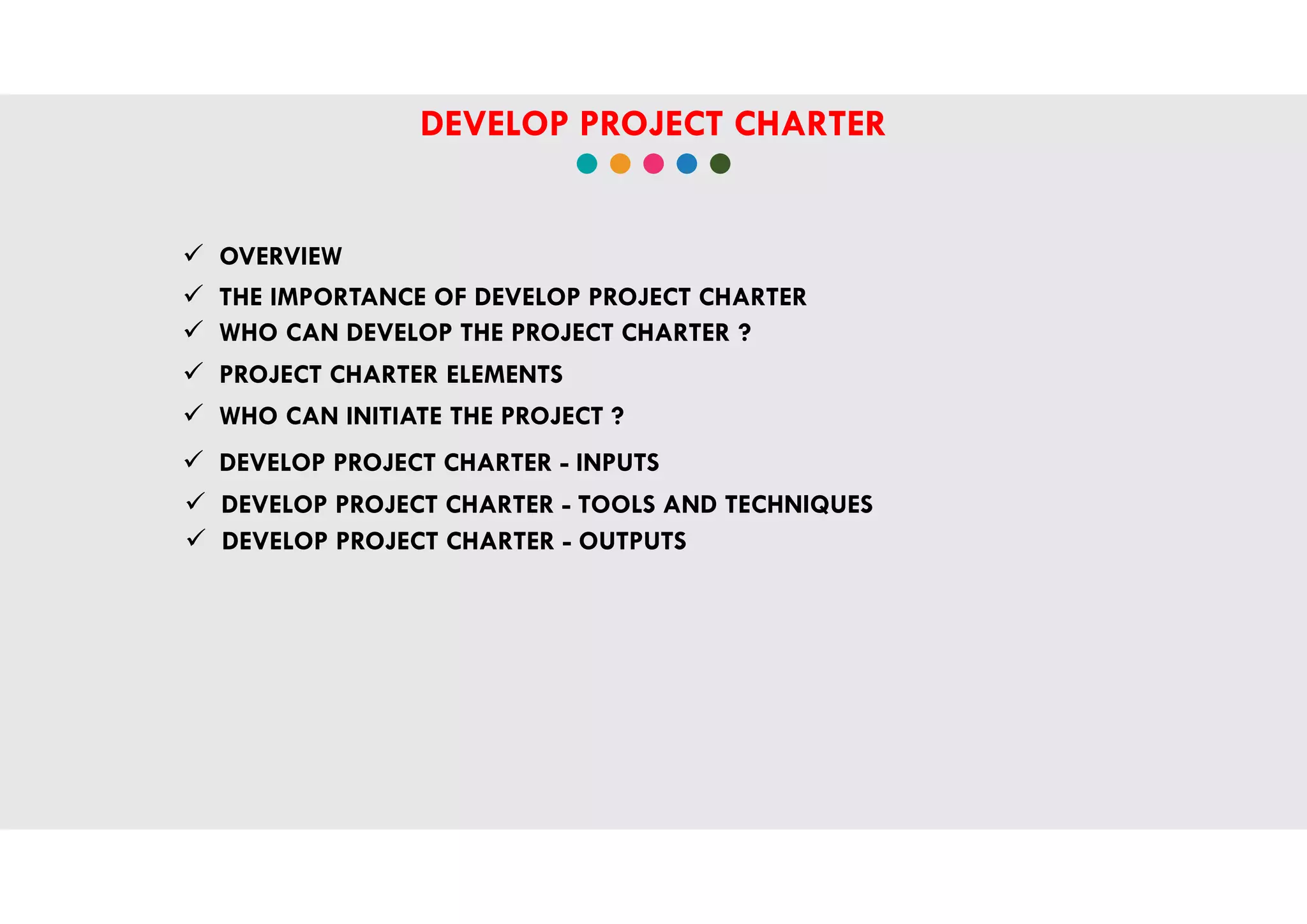 Develop project charter | PDF