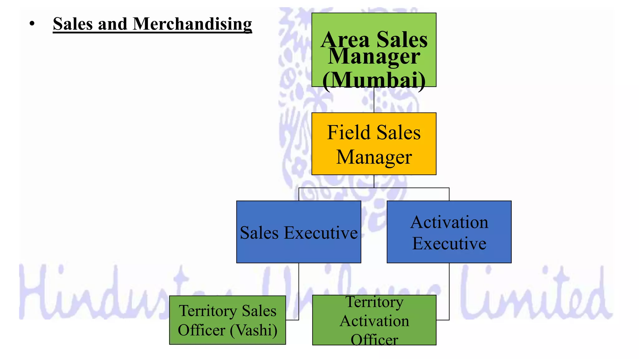 HUL sales hierarchy FMCG Organisation structure of Sales | PPTX