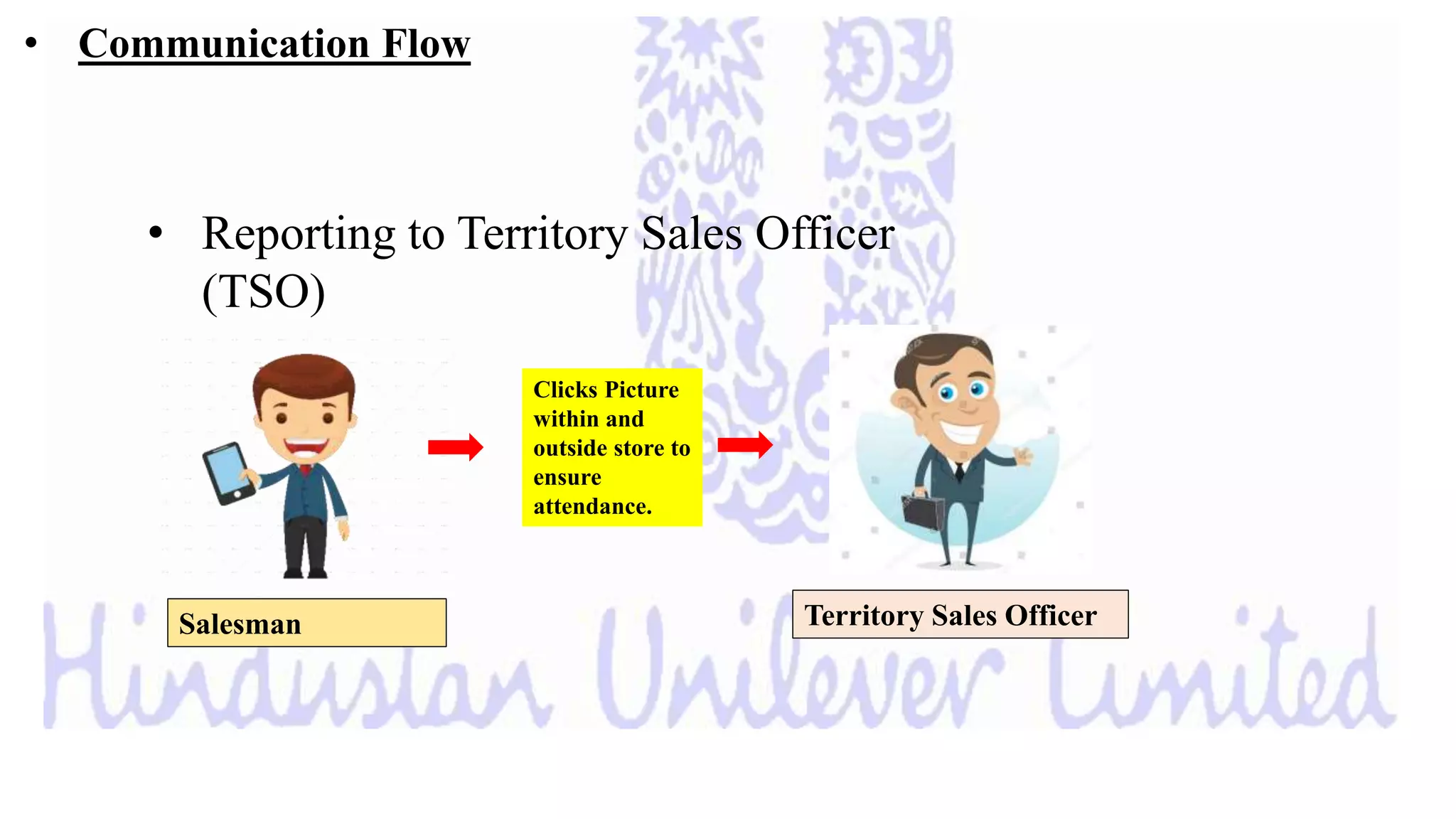 HUL sales hierarchy FMCG Organisation structure of Sales | PPTX
