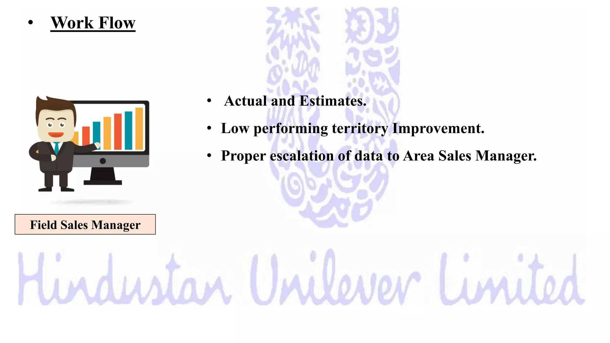 HUL sales hierarchy FMCG Organisation structure of Sales | PPTX