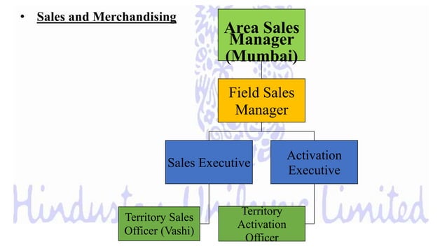 HUL sales hierarchy FMCG Organisation structure of Sales | PPTX | Sales ...