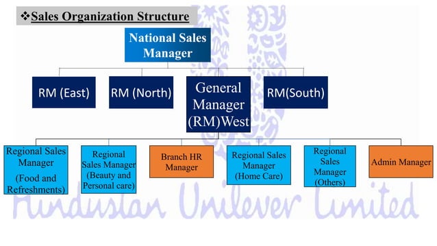 HUL sales hierarchy FMCG Organisation structure of Sales