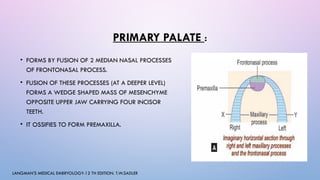 Deve of Palate and its clinical anatomy.pptx