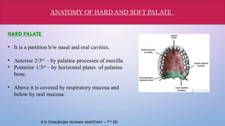 Deve of Palate and its clinical anatomy.pptx