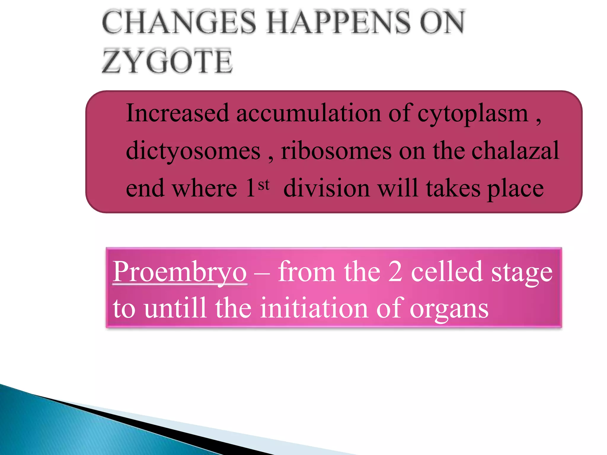 Deveopment of embryo in monocot and dicot | PPTX