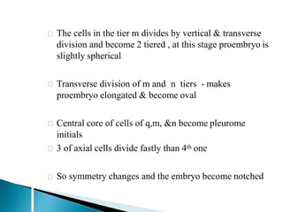 Deveopment of embryo in monocot and dicot | PPTX