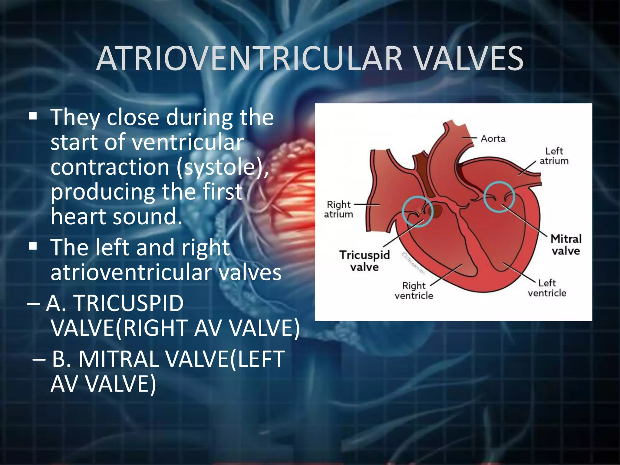 Developmental Anomalies of Cardiac Valves | PDF