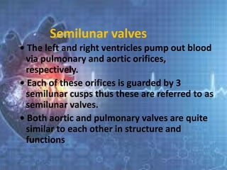 Developmental Anomalies of Cardiac Valves | PDF