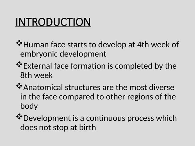 Development of the face - Copy - Copy - Copy.pptx