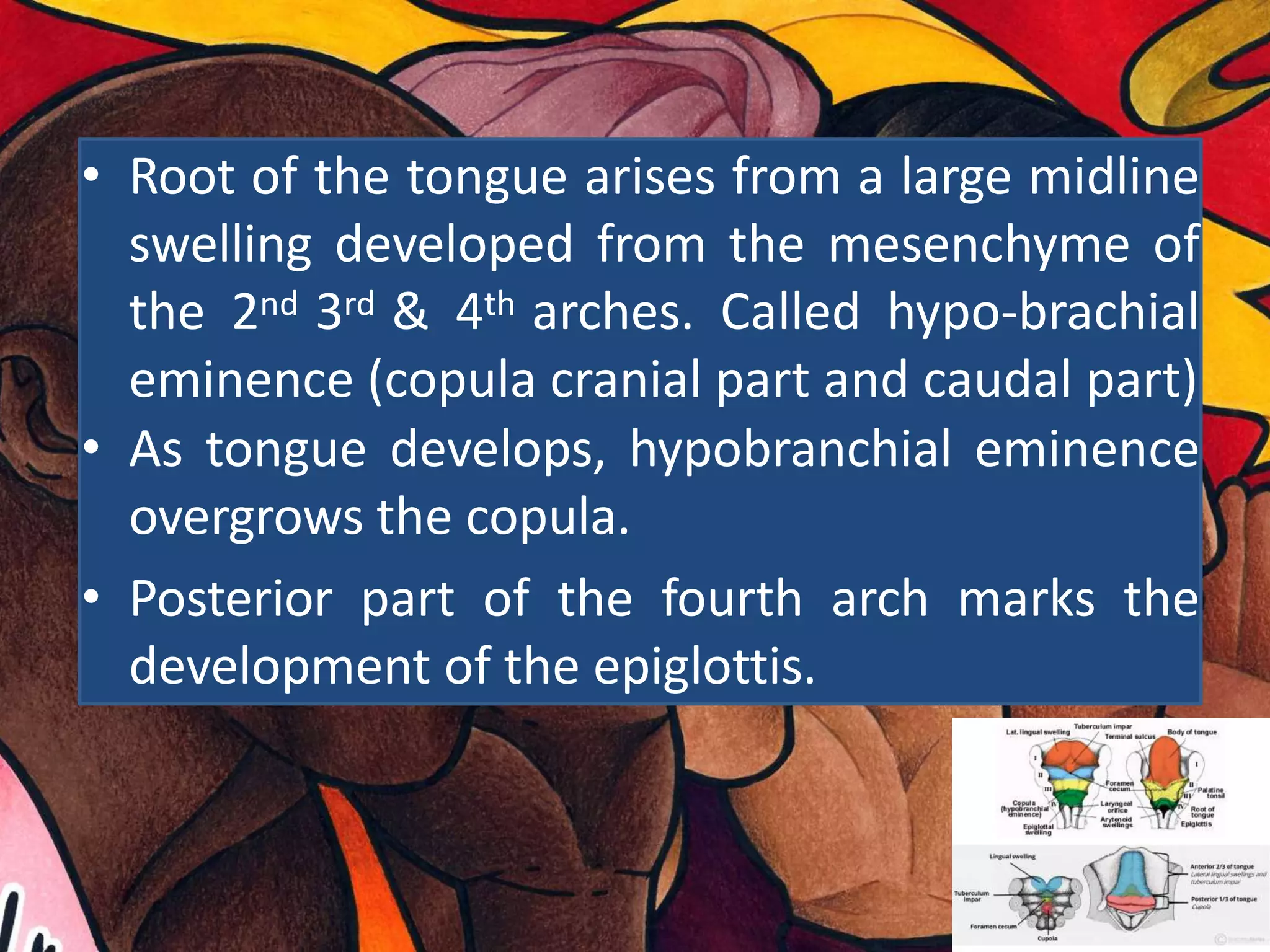 DEVELOPMENT OF FACE | PPTX