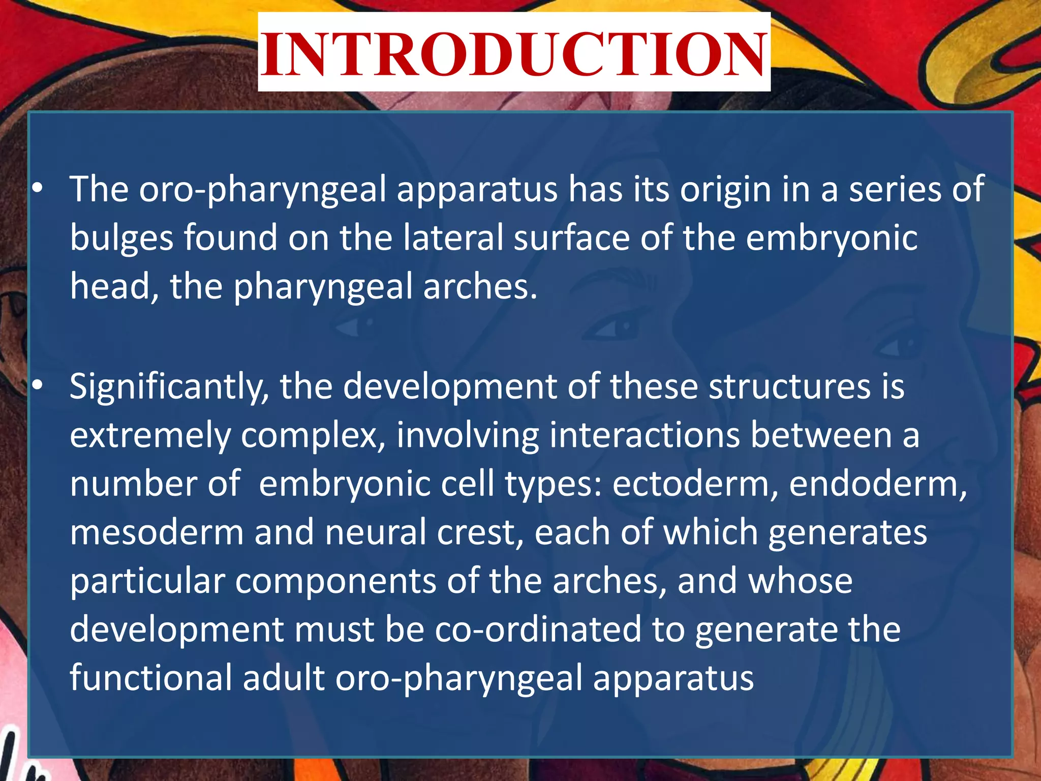 DEVELOPMENT OF FACE | PPTX