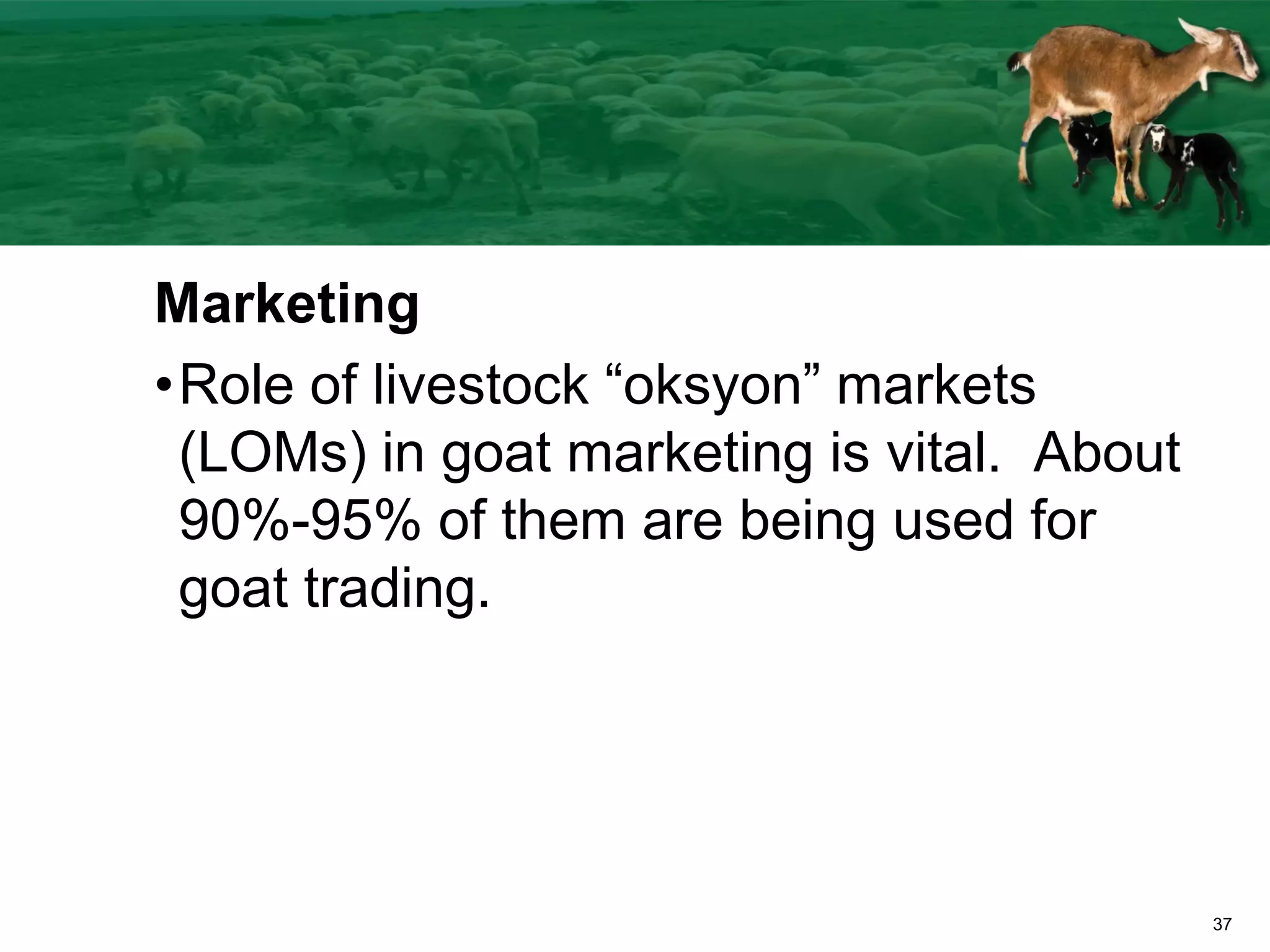 Current Situation and Development in the Small Ruminant (Goat) Industry ...