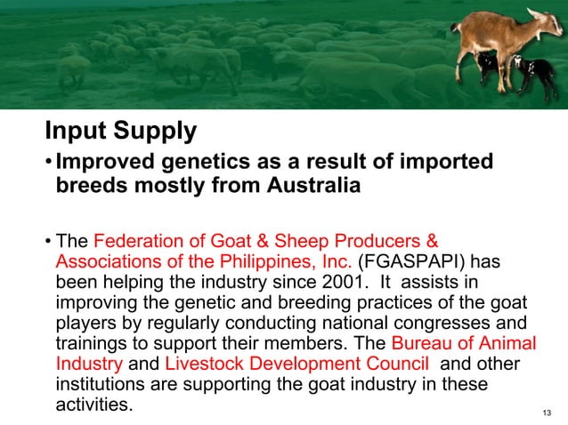 Current Situation and Development in the Small Ruminant (Goat) Industry ...