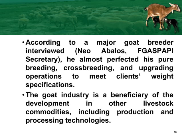 Current Situation and Development in the Small Ruminant (Goat) Industry ...