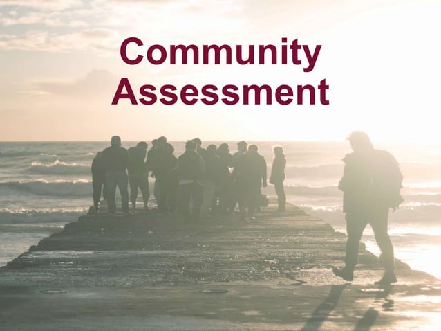 Dev hcr 439_community_assessment_ppt rev | PPTX | Education