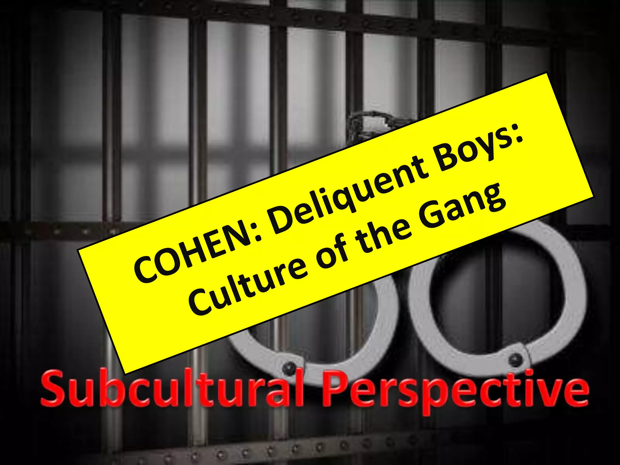 Deviance culture of the gang | PPT