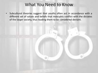 Deviance culture of the gang | PPT