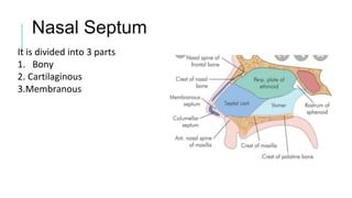 deviatednasalseptum | PPTX