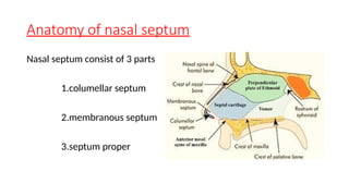 Deviated Nasal Septum DNS ENT Topic.pptx