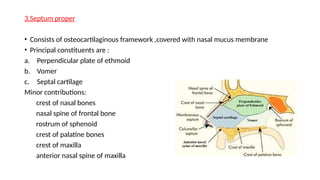 Deviated Nasal Septum DNS ENT Topic.pptx