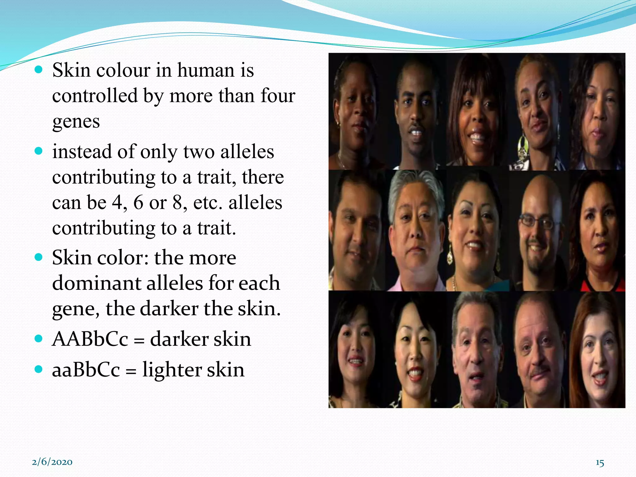 Deviation mendel princi 2 | PPTX