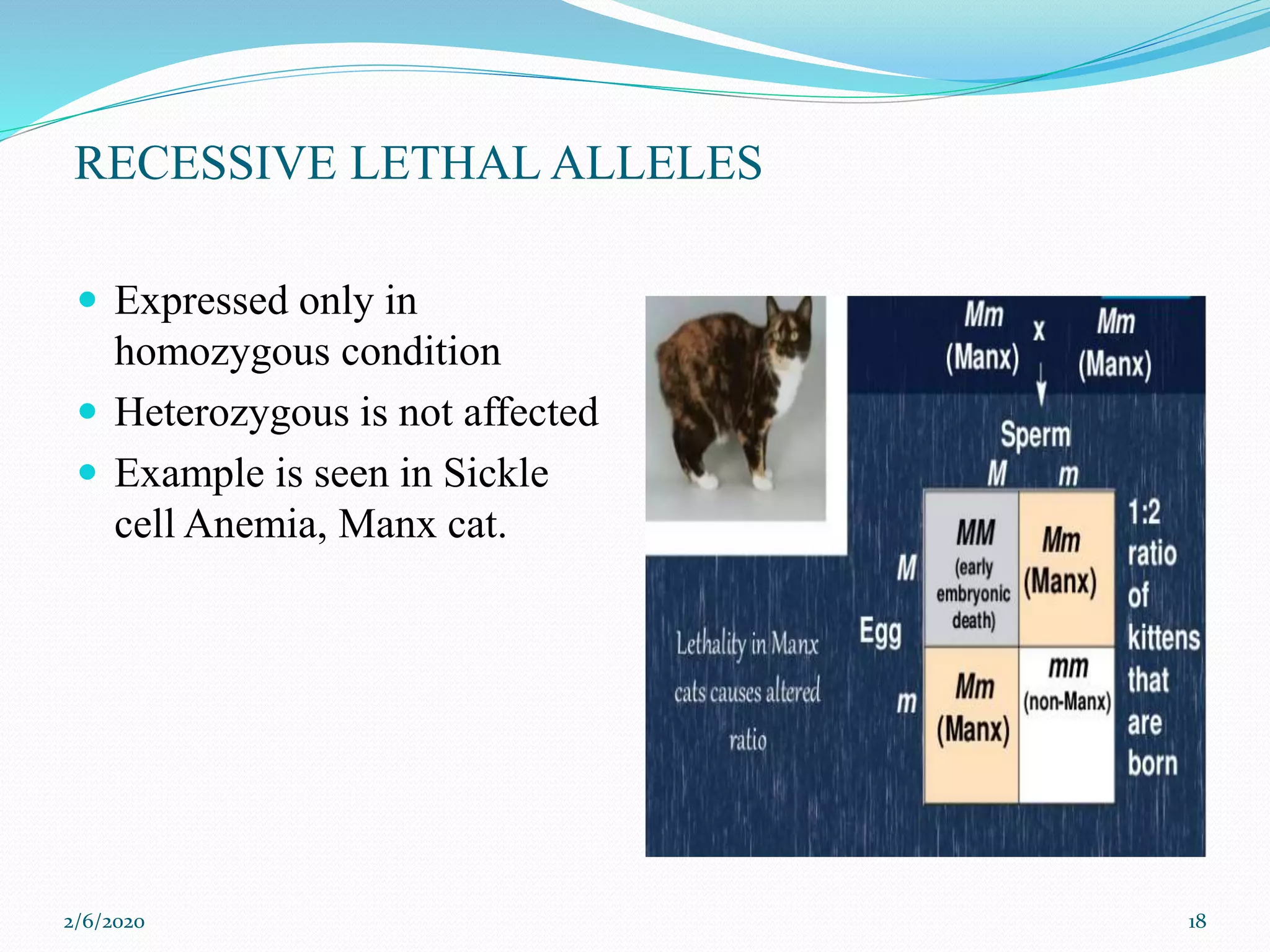 Deviation mendel princi 2 | PPTX
