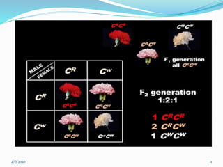 Deviation mendel princi 2 | PPTX