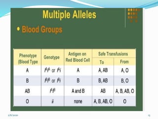 Deviation mendel princi 2 | PPTX