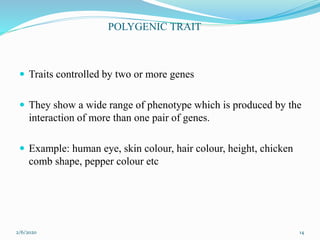 Deviation mendel princi 2 | PPTX