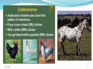 Deviation mendel princi 2 | PPTX