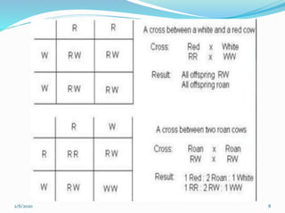 Deviation mendel princi 2 | PPTX