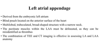 Device Based Left Atrial Appendage Closure.pptx