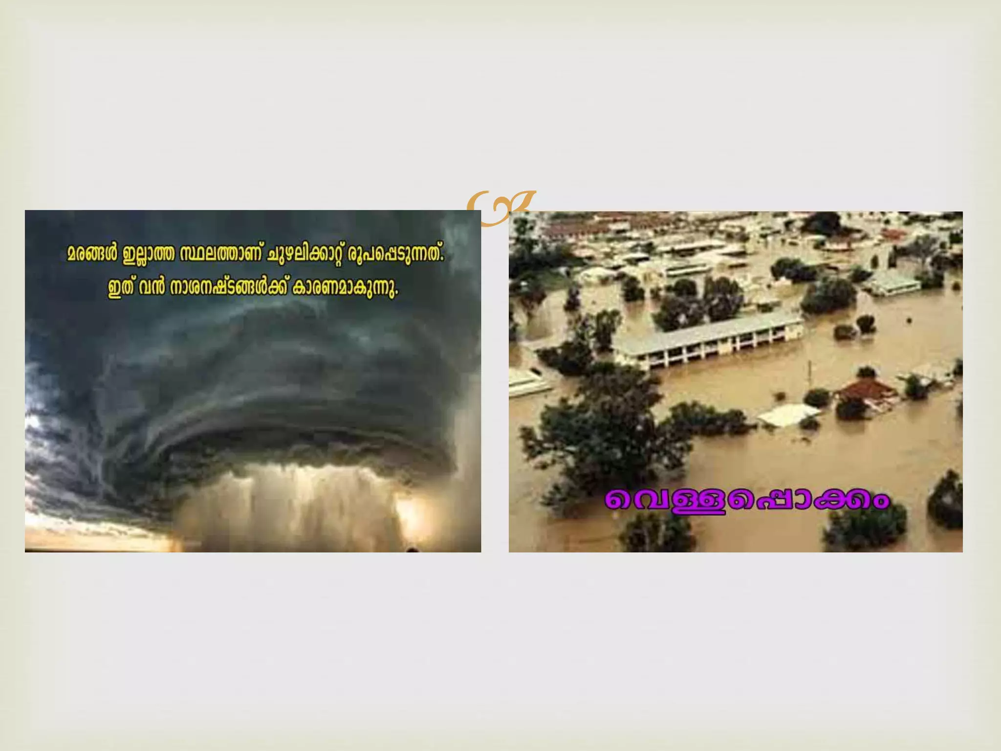 Devika presentation | PPTX