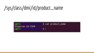 DeViL - Detect Virtual Machine in Linux by Sreelakshmi | PPTX