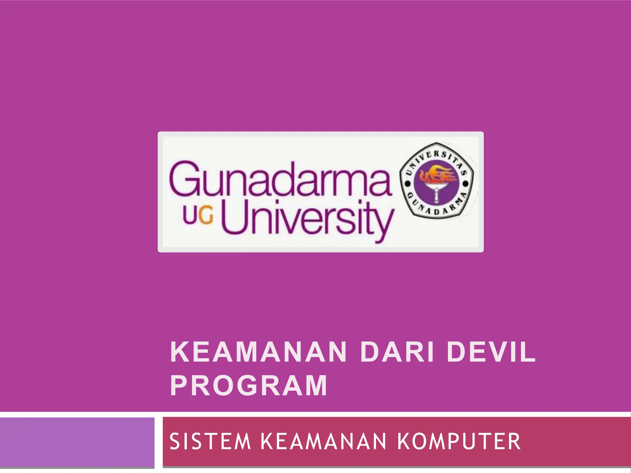 Devil program and safe computer security.pptx