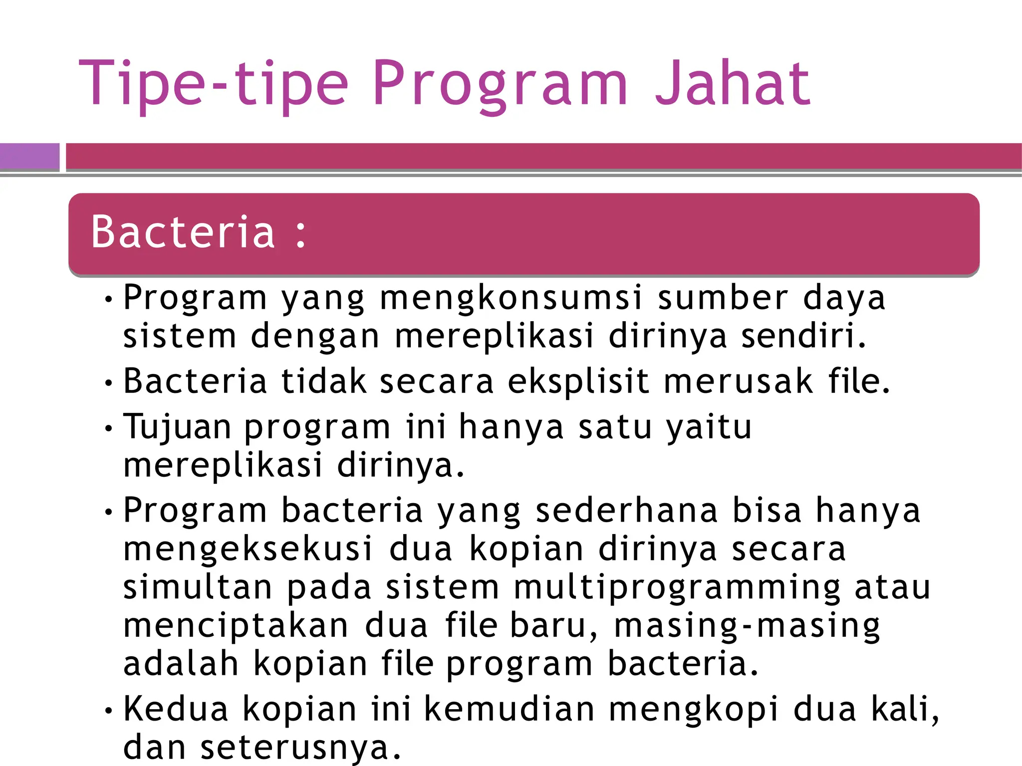 Devil program and safe computer security.pptx