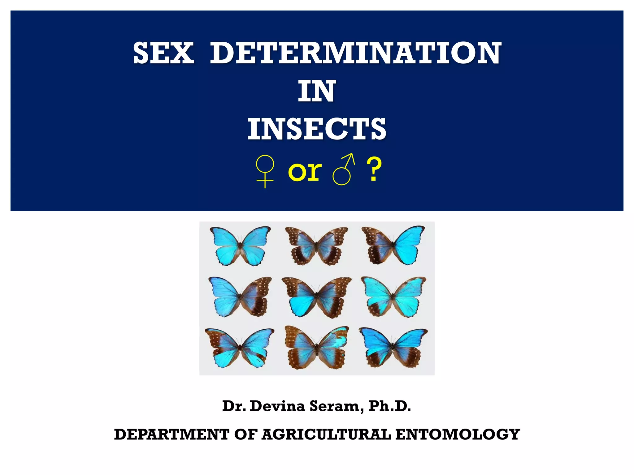 Sex determination in insects | PDF | Infertility | Reproductive Health