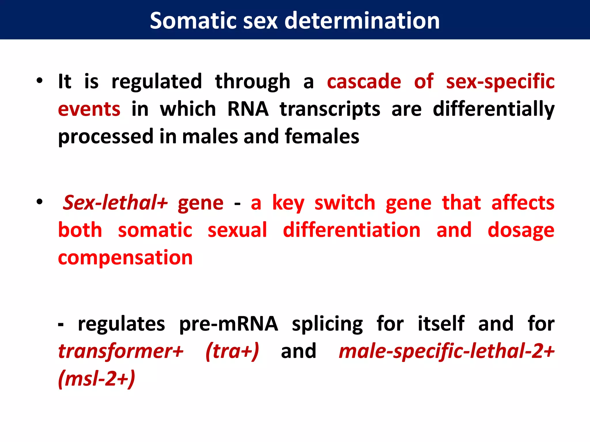Sex determination in insects | PDF | Infertility | Reproductive Health